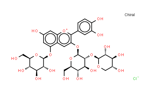 Cyanidin 3-sambubioside-5-glucoside chloride_53925-33-0_Hairui Chemical