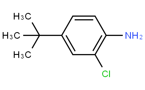 4-(tert-butyl)-2-chloroaniline_42265-67-8_Hairui Chemical